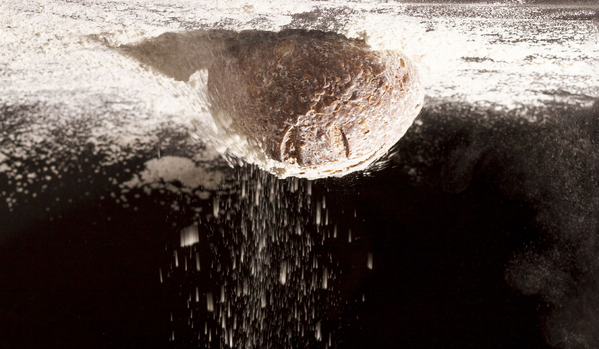 Home Page - Millbio US